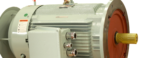 Moteur standard IEC (LV) - Société de fournitures Industrielles & des mines